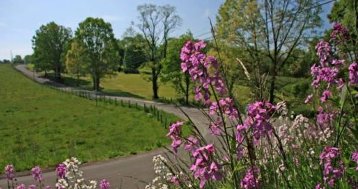 FREE 2016 SFPUC Calendar - I Crave Free Stuff